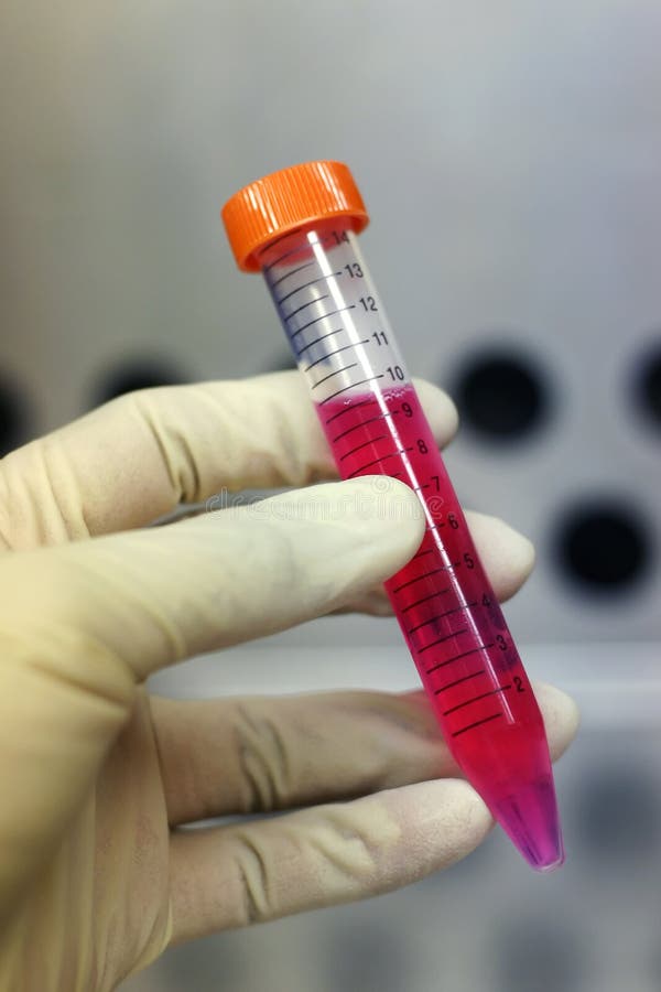 Falcon Laboratory Tube Stock Photos - Free & Royalty-Free Stock Photos ...