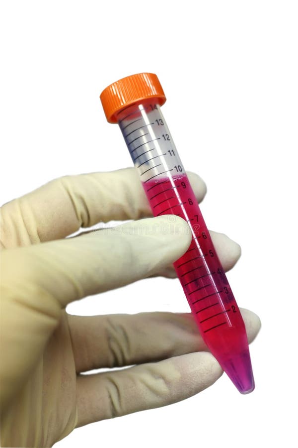 Test Tube in Hand Isolated stock image. Image of chemist - 260279