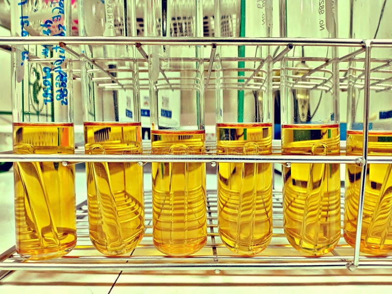 Test Tube of LST Broth for Coliform Test in Food Factory Lab Stock ...