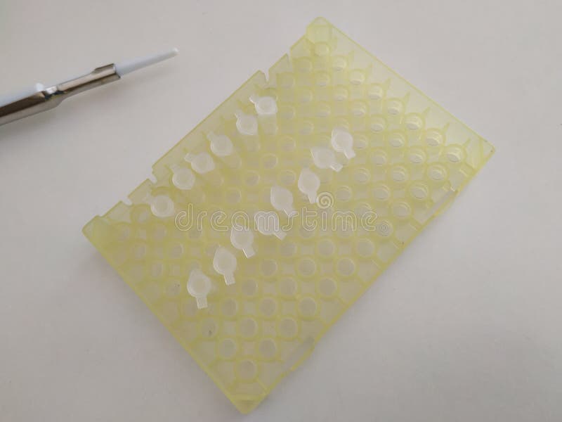 Laboratory Test Tubes. Micro Tubes for PCR. Stock Photo - Image of ...