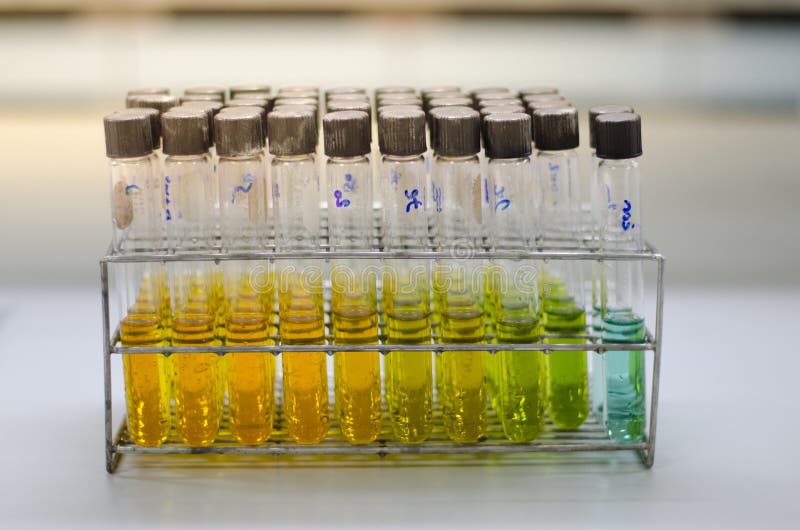 Test Tube Rack at Laboratory Stock Photo - Image of flask, beaker: 84496718
