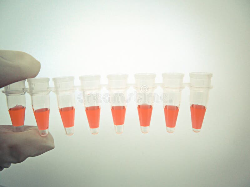 Many Test Tube with Red Solution Stock Image - Image of preparation ...