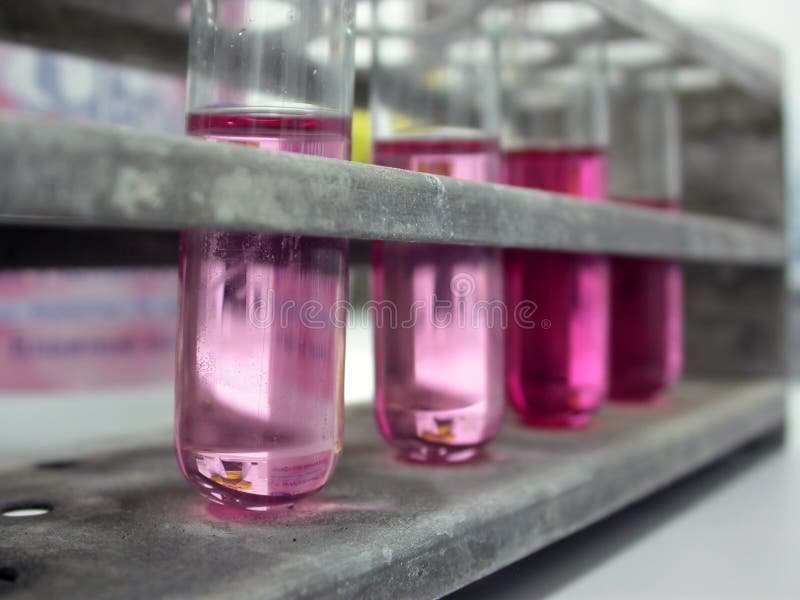 Test tubes stock photo. Image of chemistry, experiment - 1412792