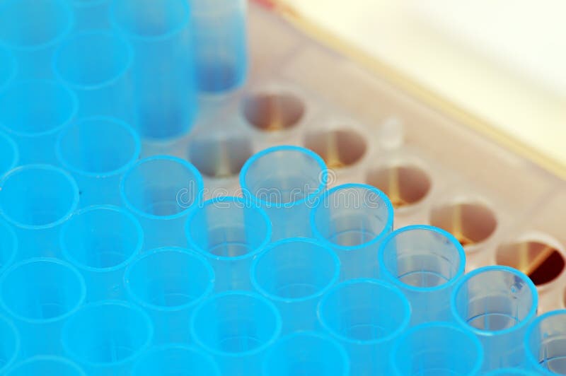 Horizontal Empty Glass Test Tubes Stock Image - Image of measure ...