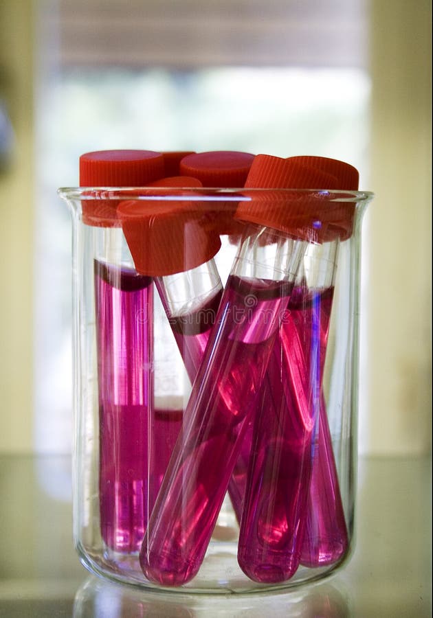 Test tubes stock image. Image of medical, biotech, microbiology - 4168879