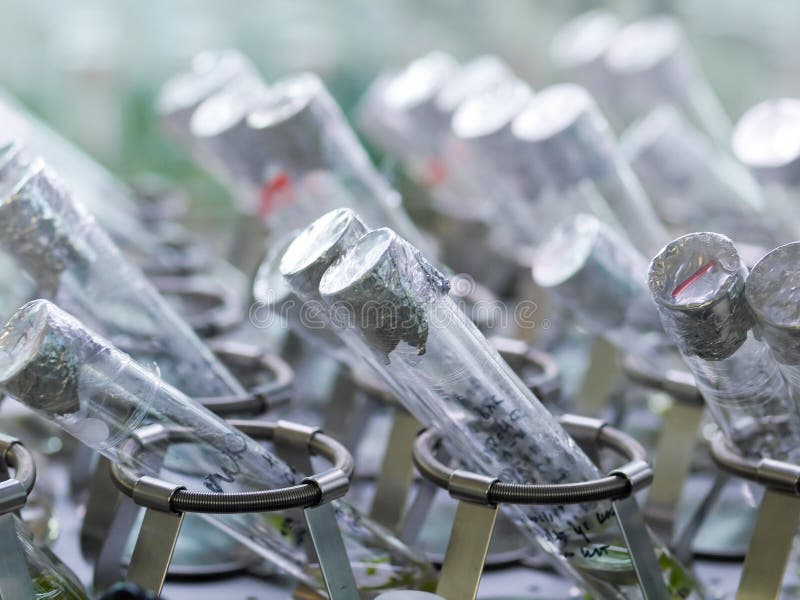 Glass Test Tubes Markings Stock Photos - Free & Royalty-Free Stock ...