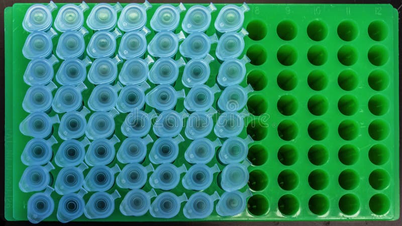 Test Tubes in a Biology Laboratory Stock Photo - Image of plastic ...