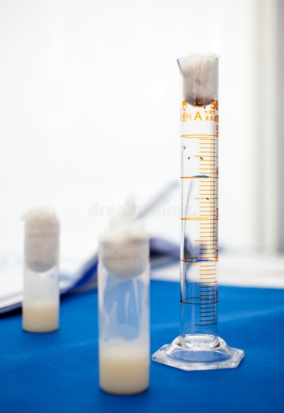 Test Tubes stock image. Image of biology, medicine, measurements - 60795579