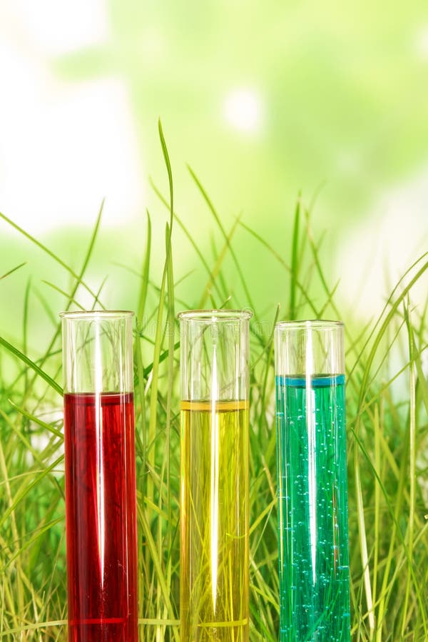 Test Tubes with Colored Liquids in Tgrass on Abstract Green. Stock ...