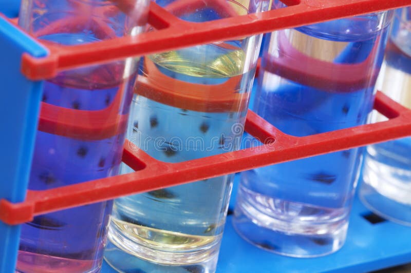 Test Tubes with Different Chemicals Stock Image - Image of ...
