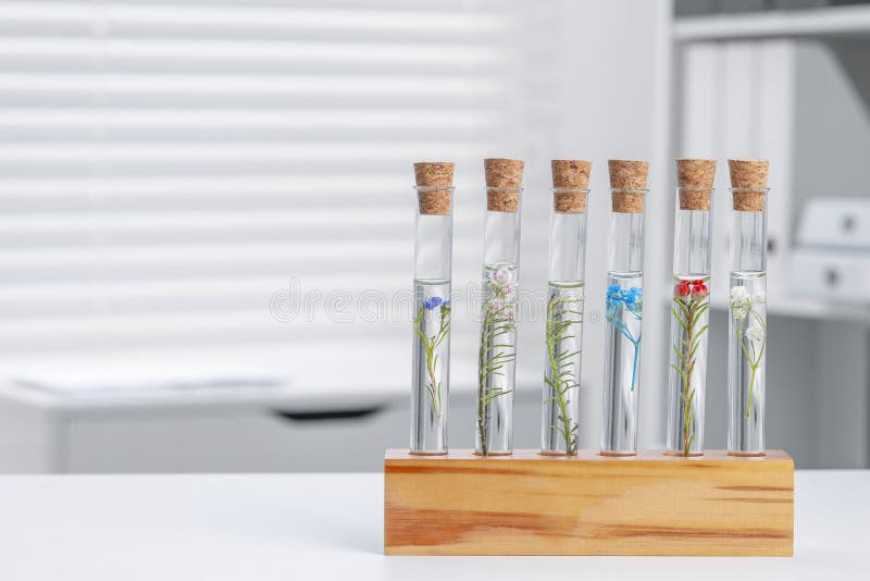 Test Tubes with Different Plants on White Table in Laboratory. Space ...