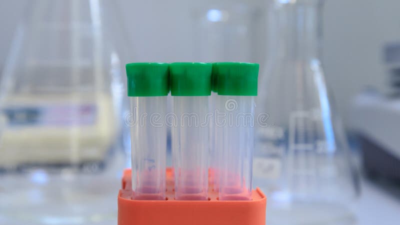 Test Tubes, Flask and Bioscience Laboratory Instruments. Concept of ...