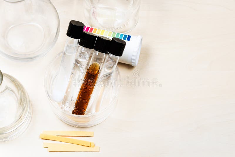 Test Tubes, Flasks and Litmus Papers on Table Stock Photo - Image of ...