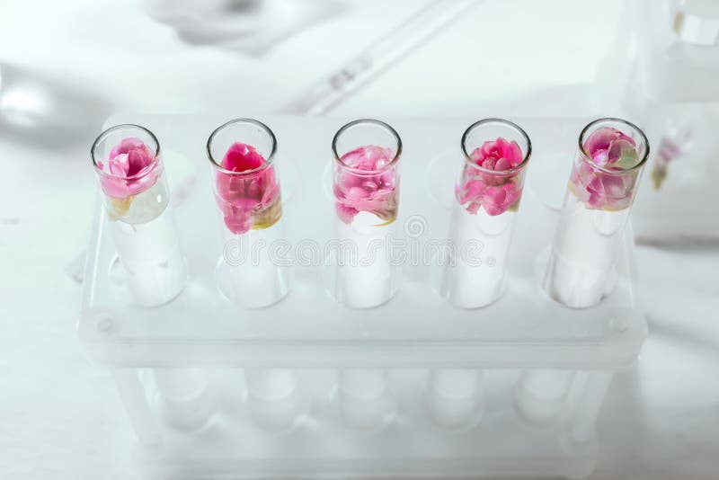 Test Tubes with Flowers in Rack on Table Stock Image - Image of ...