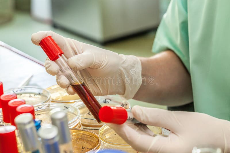 Test tubes in laboratory stock image. Image of educative - 35120093