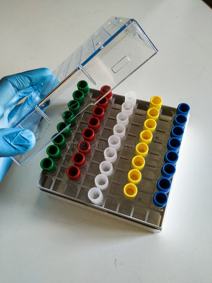 Laboratory Test Tubes. Micro Tubes for PCR. Stock Image - Image of ...