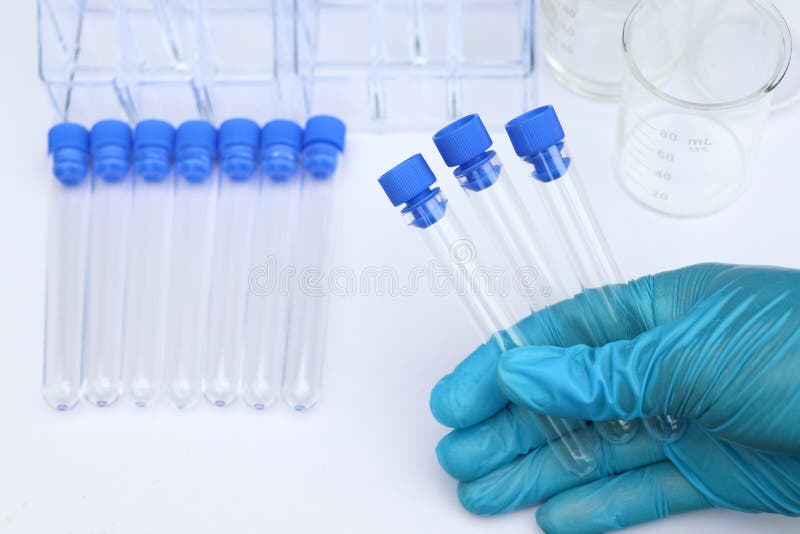 Test Tubes in the Laboratory Stock Image - Image of biology, hospital ...