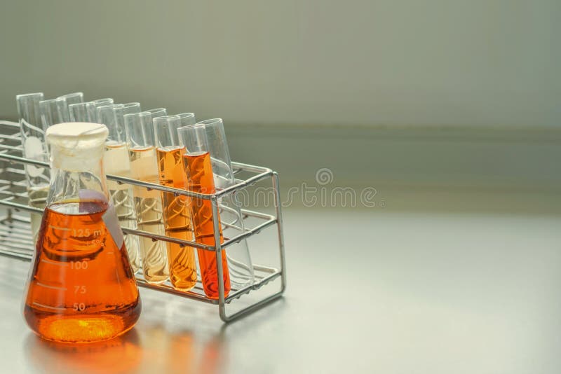 Test Tubes and Orange Liquid in Flask in Science Laboratory Stock Image ...