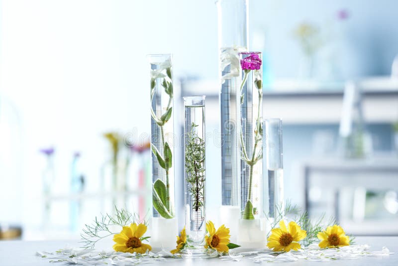 Test Tubes with Plants and Flowers on Table in Laboratory Stock Image ...