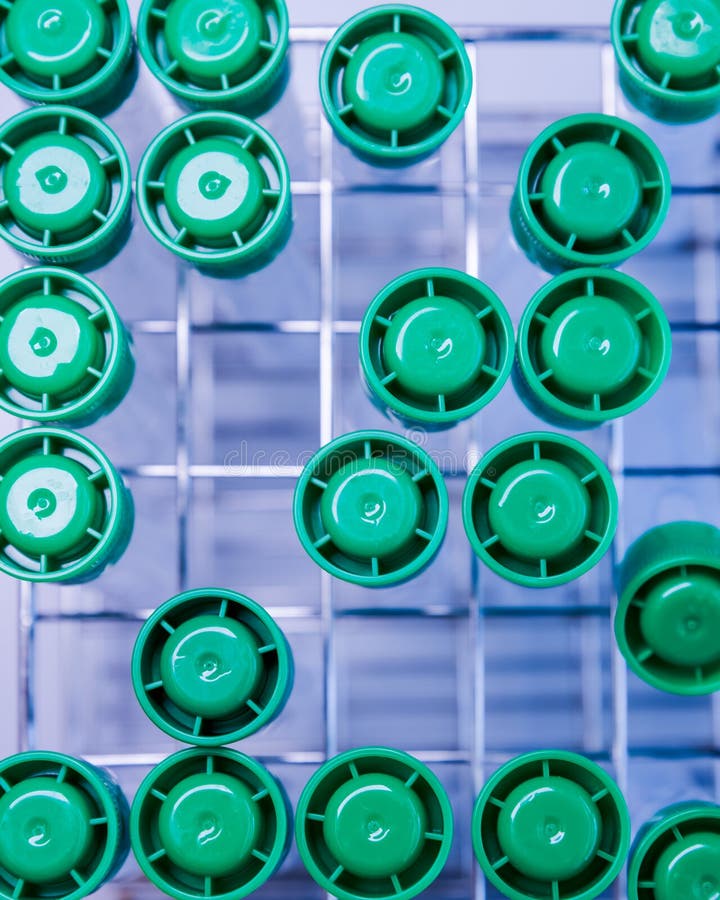 Test Tubes in Rack, View from Above. Concept of Science, Laboratory and ...