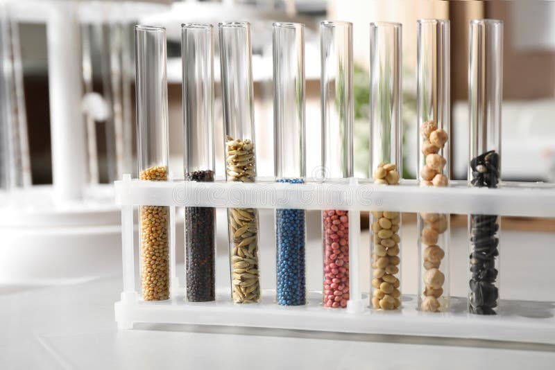 Test Tubes with Seeds Samples on Table in Laboratory Stock Image ...