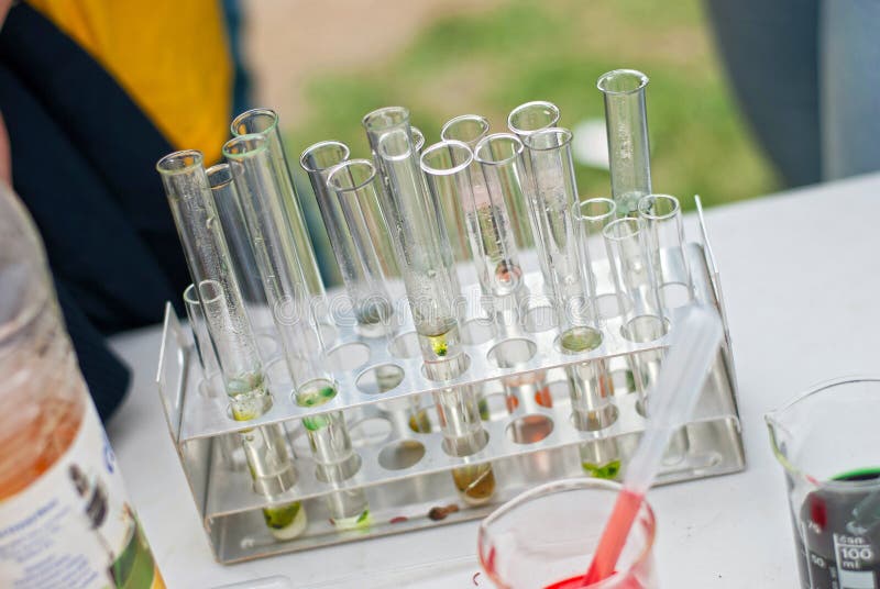 Test Tubes in Stand stock photo. Image of chemistry, tubes - 58336888
