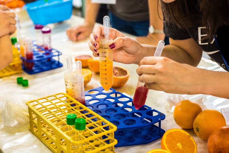 Test Tubes on a Table for Chemical Experiment Stock Photo - Image of ...