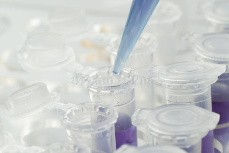 Test tubes and vials stock photo. Image of precision - 26178206