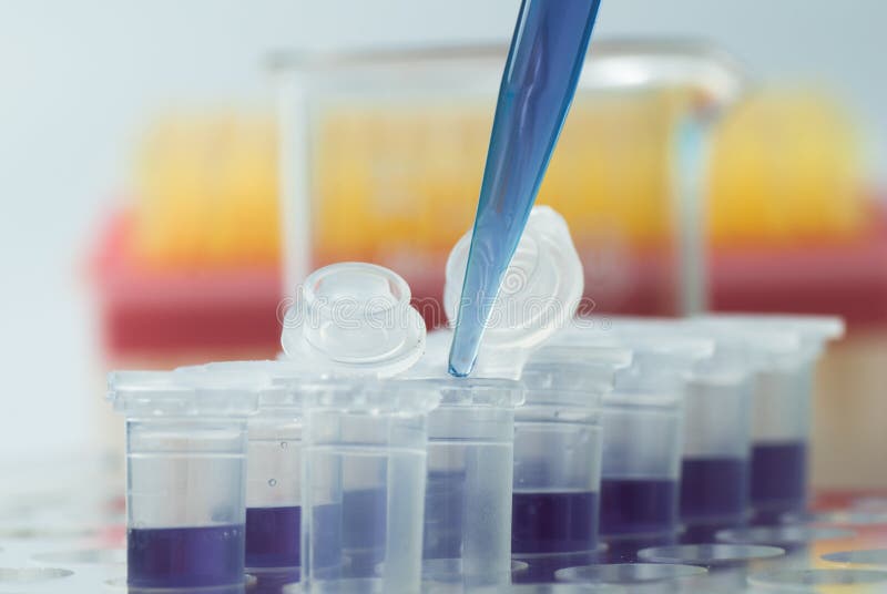 Test tubes and vials stock image. Image of medical, chemicals - 26178265