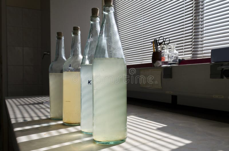 Test Water Samples in the Laboratory Stock Photo - Image of bottle ...