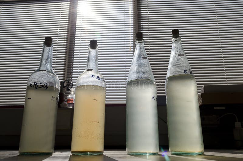 Test Water Samples in the Laboratory Stock Photo - Image of ecology ...