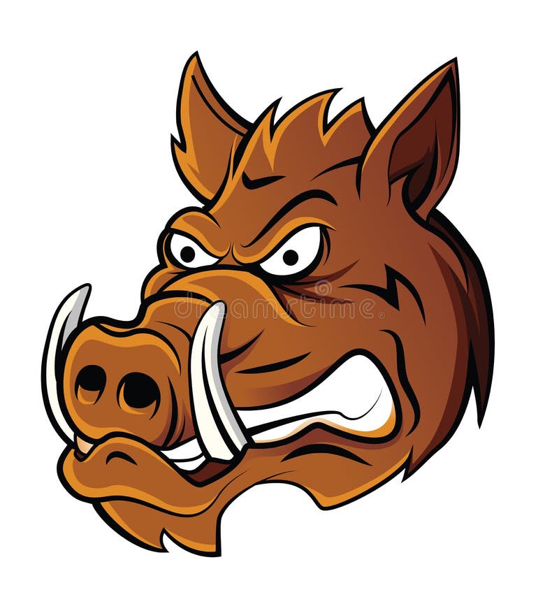 Testa di Cinghiale illustrazione vettoriale. Illustrazione di ritratto ...