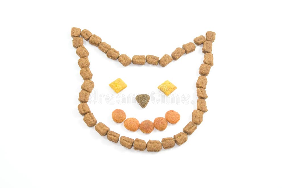 Testa del gatto immagine stock. Immagine di idea, disegno - 14577417