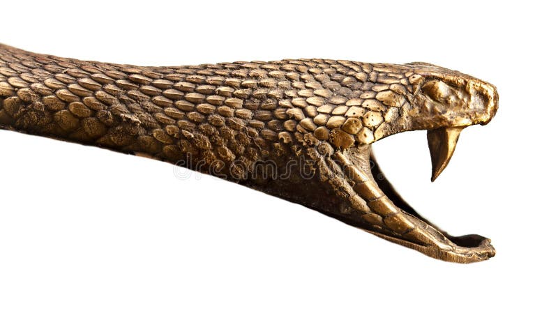 Testa Del Serpente Del Metallo Fotografia Stock - Immagine di isolato ...