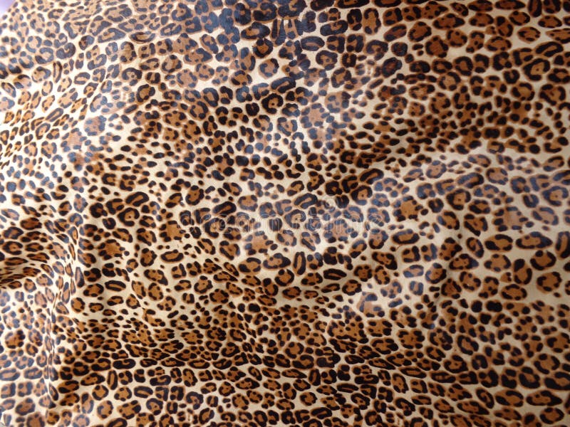 Pele da chita foto de stock. Imagem de africano, textura - 2880344