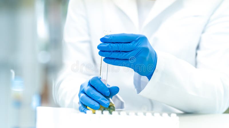 Tested and Experimental Changes in Plant Genetics in the Laboratory ...
