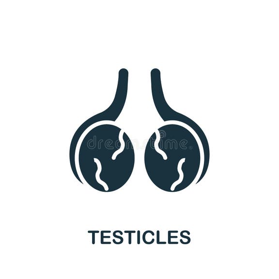 Testicles Icon. Simple Element from Internal Organs Collection ...