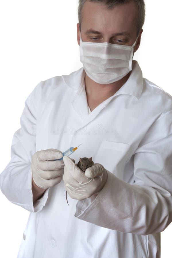 Testing Drugs and Vaccine in Mice Stock Photo - Image of glove, health ...