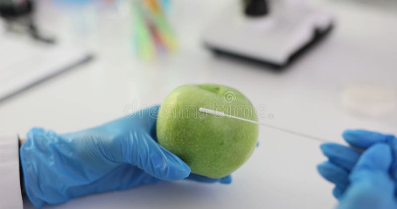 Testing the Freshness of a Green Apple in a Laboratory Using a Swab ...