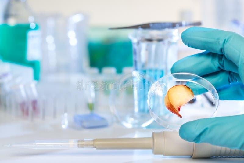 Testing Fruits for Pesticides Stock Image - Image of herbicide, control ...