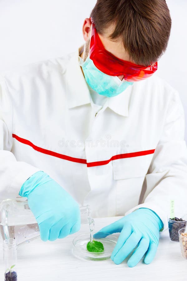 Testing gmo products stock photo. Image of goves, pathogenic - 87445204
