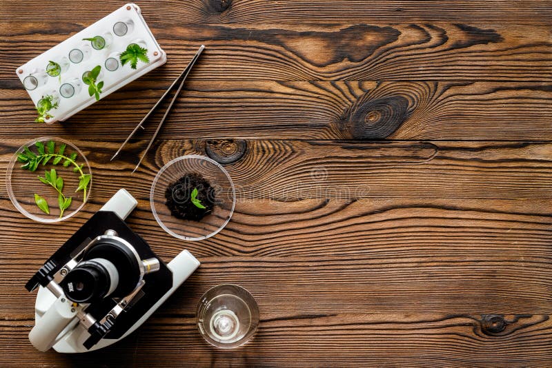 Testing Plants and Soil in Biological Laboratory Stock Photo - Image of ...