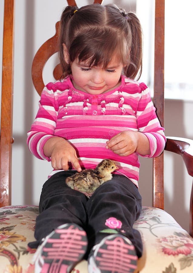 Testing the Turkey stock photo. Image of pink, toddler - 23765292