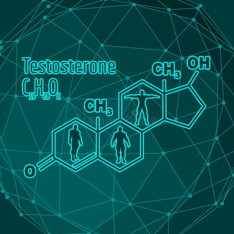 Estructura Molecular De La Testosterona Ilustraciones Stock, Vectores ...