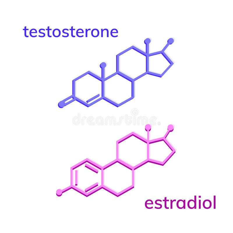 Estrutura Molecular Da Testosterona Ilustrações, Vetores E Clipart De ...