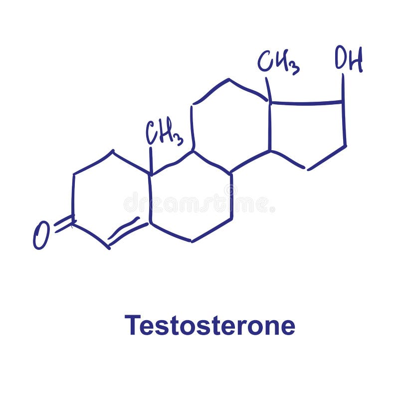 Testosterone Chemical Formula Stock Vector Illustration Of