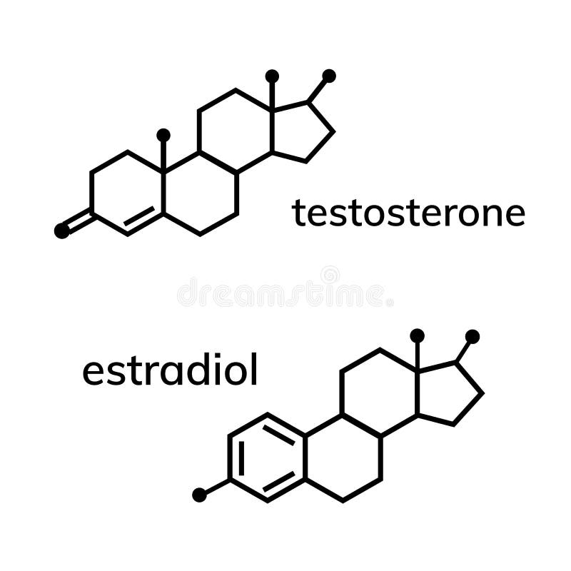 Testosterone and estradiol stock vector. Illustration of biochemistry ...