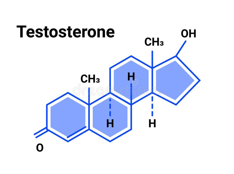 Testosterone Hormone Formula Icon Testosterone Molecule Structure Male