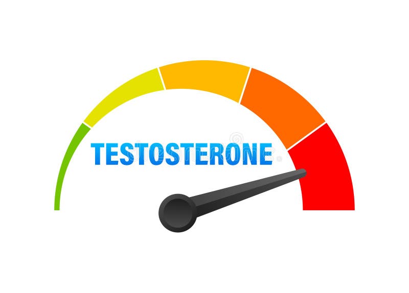 Testosterone Level Meter, Measuring Scale. Hormone Testosterone ...