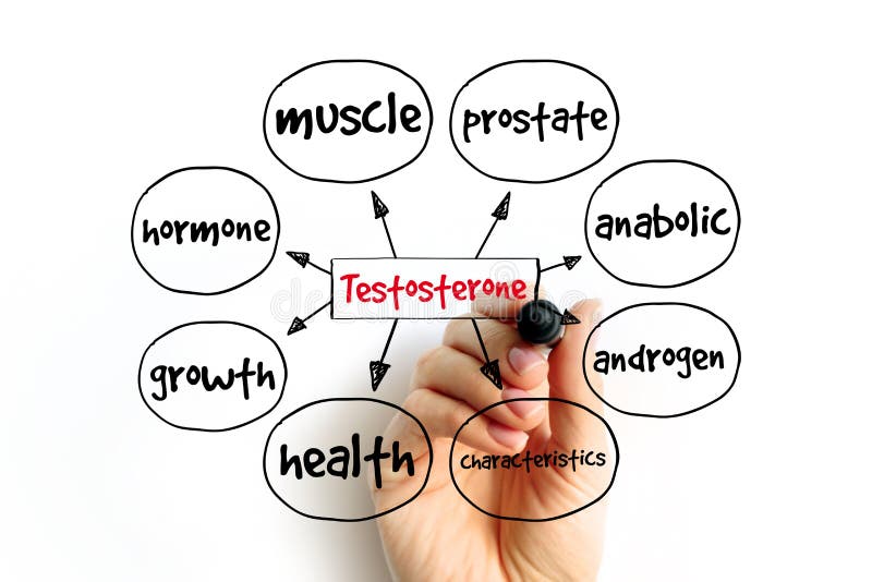 Testosterone Mind Map, Medical Concept for Presentations and Reports ...